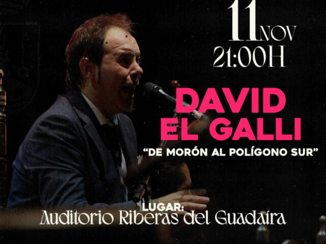 Espectáculo de David `El Galli´ en el auditorio – Vida Flamenca